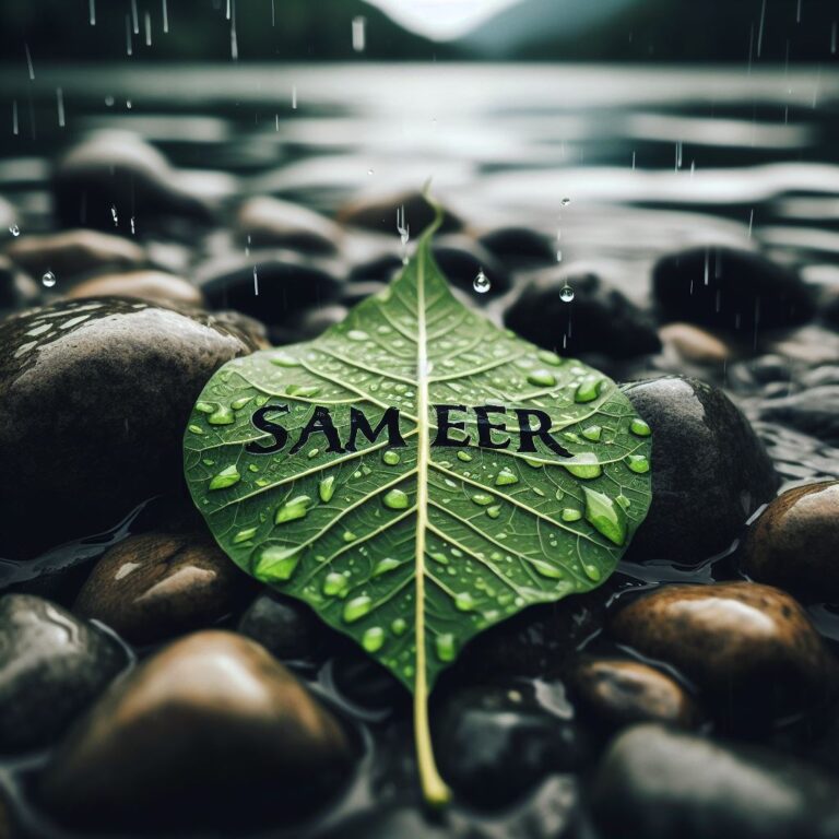 Sameer Wallpaper New Design 2024 - The Wallpaper